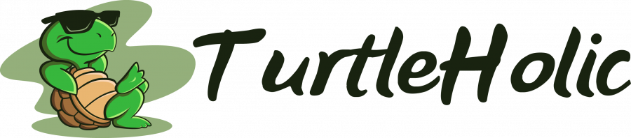 Home - TurtleHolic