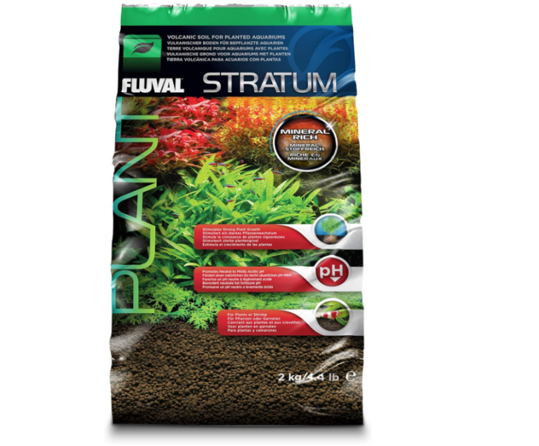 The Best Substrate for Box Turtles in the World - TurtleHolic