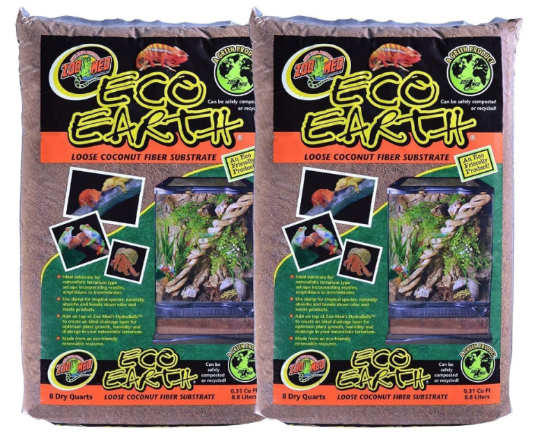 The Best Substrate for Box Turtles in the World - TurtleHolic