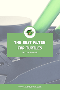 The Best Filter for a Turtle Tank - TurtleHolic