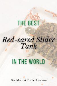 The Best Red Eared Slider Tank in the World - TurtleHolic