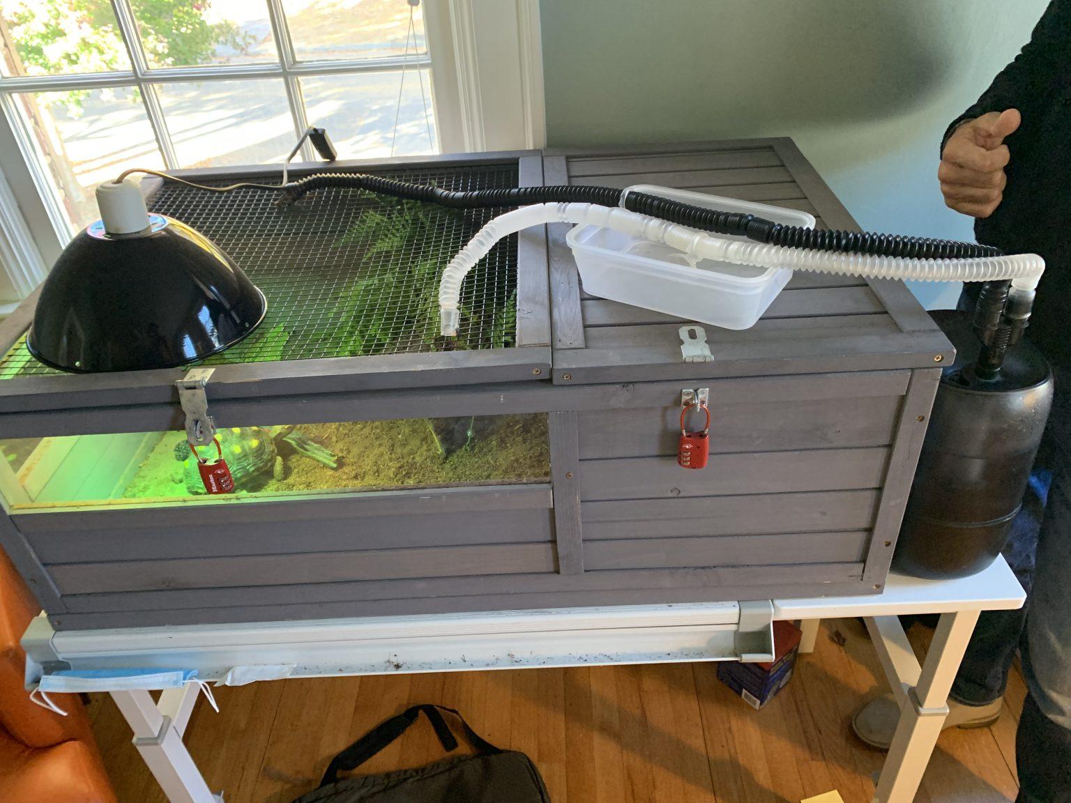 The Best Cheap Indoor Tortoise Enclosure - TurtleHolic