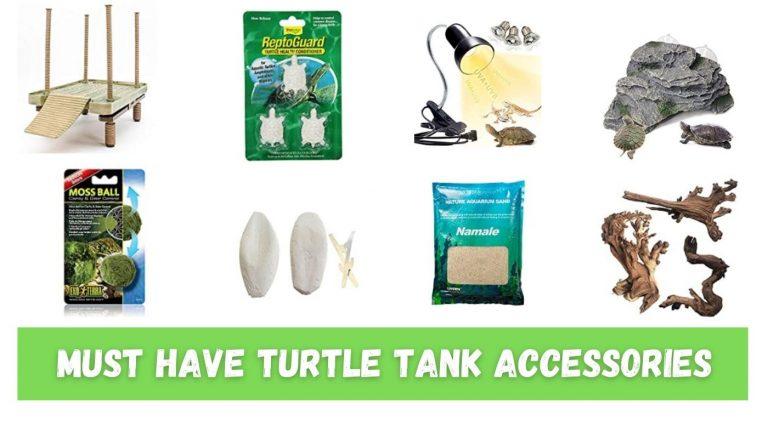 15 Must Have Turtle Tank Accessories - TurtleHolic