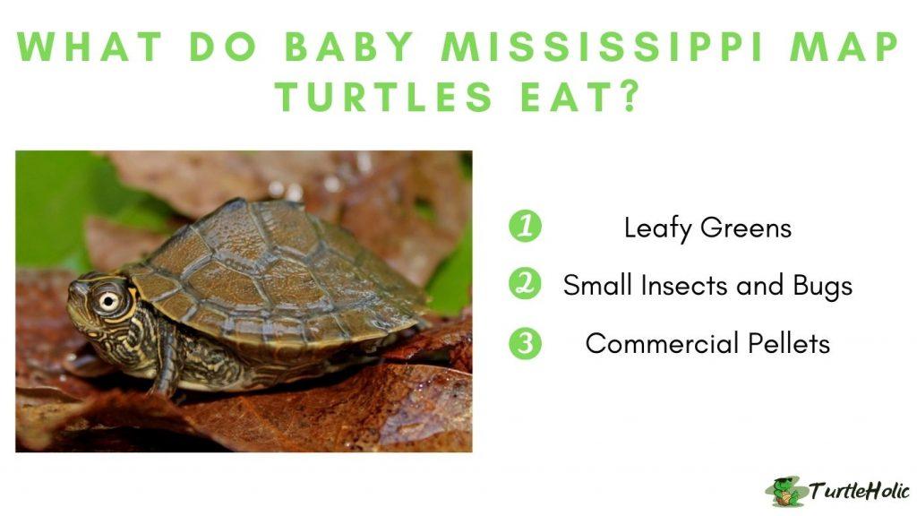 mississippi map turtle diet - TurtleHolic