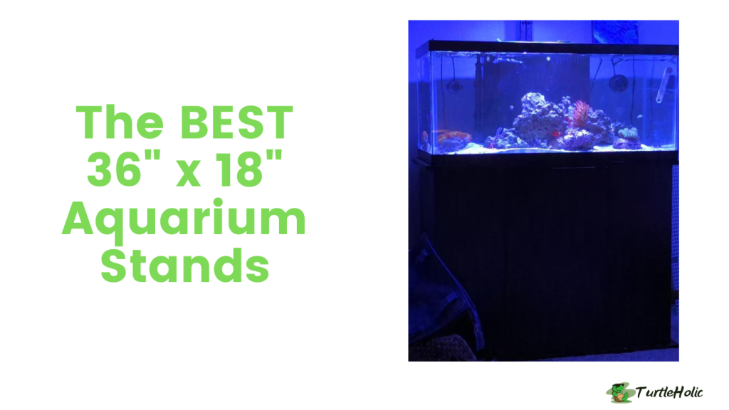 The BEST 36 x 18 Aquarium Stands - TurtleHolic
