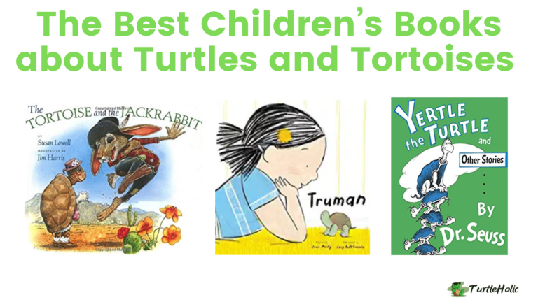 The Best Children’s Books about Turtles and Tortoises - TurtleHolic