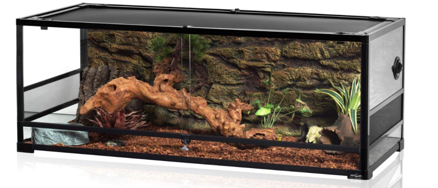 How to Set up an Indoor Box Turtle Enclosure - TurtleHolic