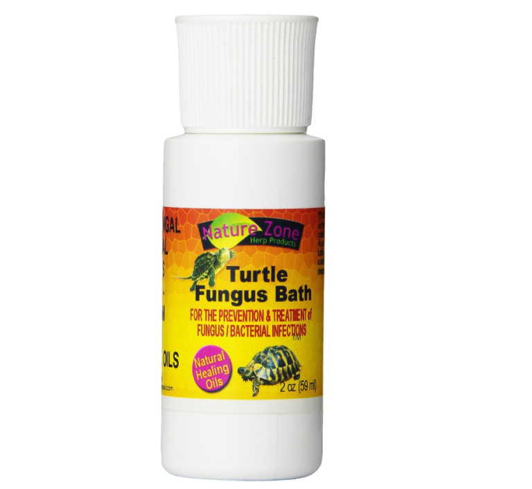 Turtle Shell Rot: Pictures, Treatment, and Prevention - TurtleHolic